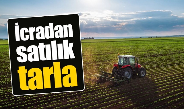 Üzerindeki meyve ağaçları ile birlikte İcradan satılık tarla - Resmi ...