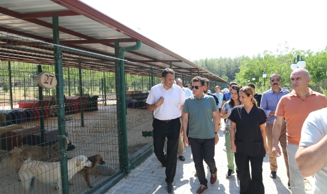 Kaş’a hayvan bakımevi ve rehabilitasyon merkezi - GÜNDEM - İleri Gazete